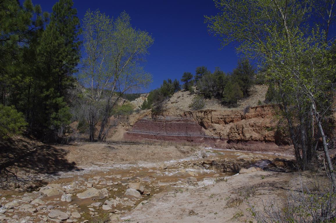 Fennboree landscape